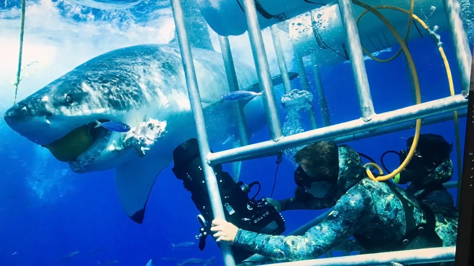 Cinematographer Interview: Emmy-Winning ‘100 Foot Wave’ DP Michael Prickett