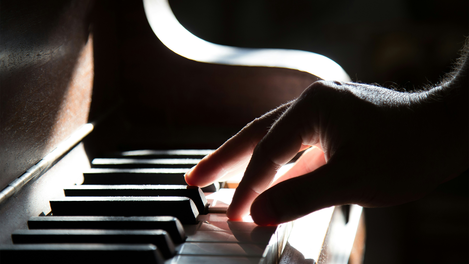 The Psychology of Music: Exploring the Effects of Music on the Brain ...